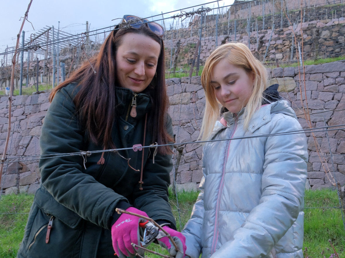 Alle News auf einen Blick · Kinderarche